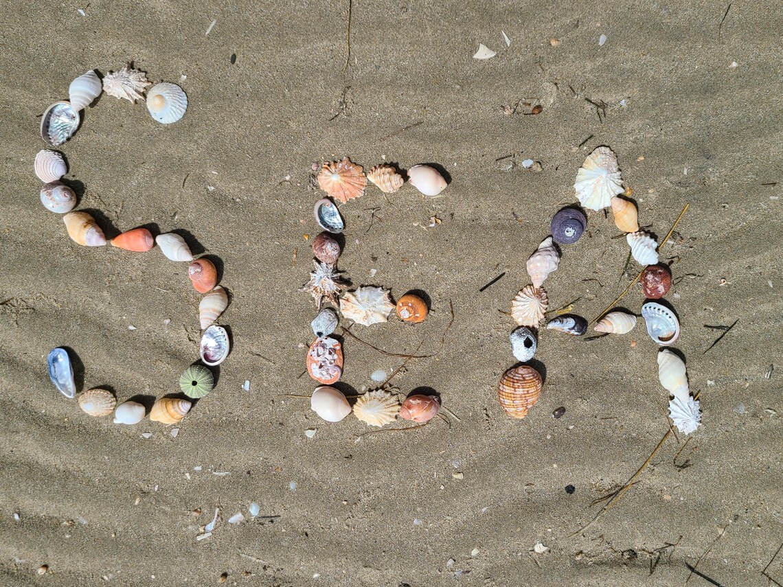 Seashell Signs, Digital Download, Ready to Purchase and Print on Paper ...