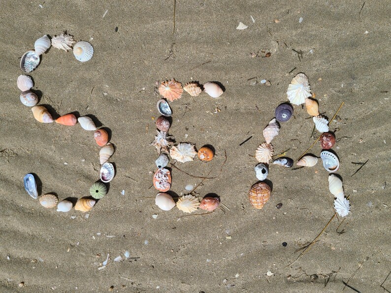 Seashell Signs, Digital Download, Ready to Purchase and Print on Paper ...