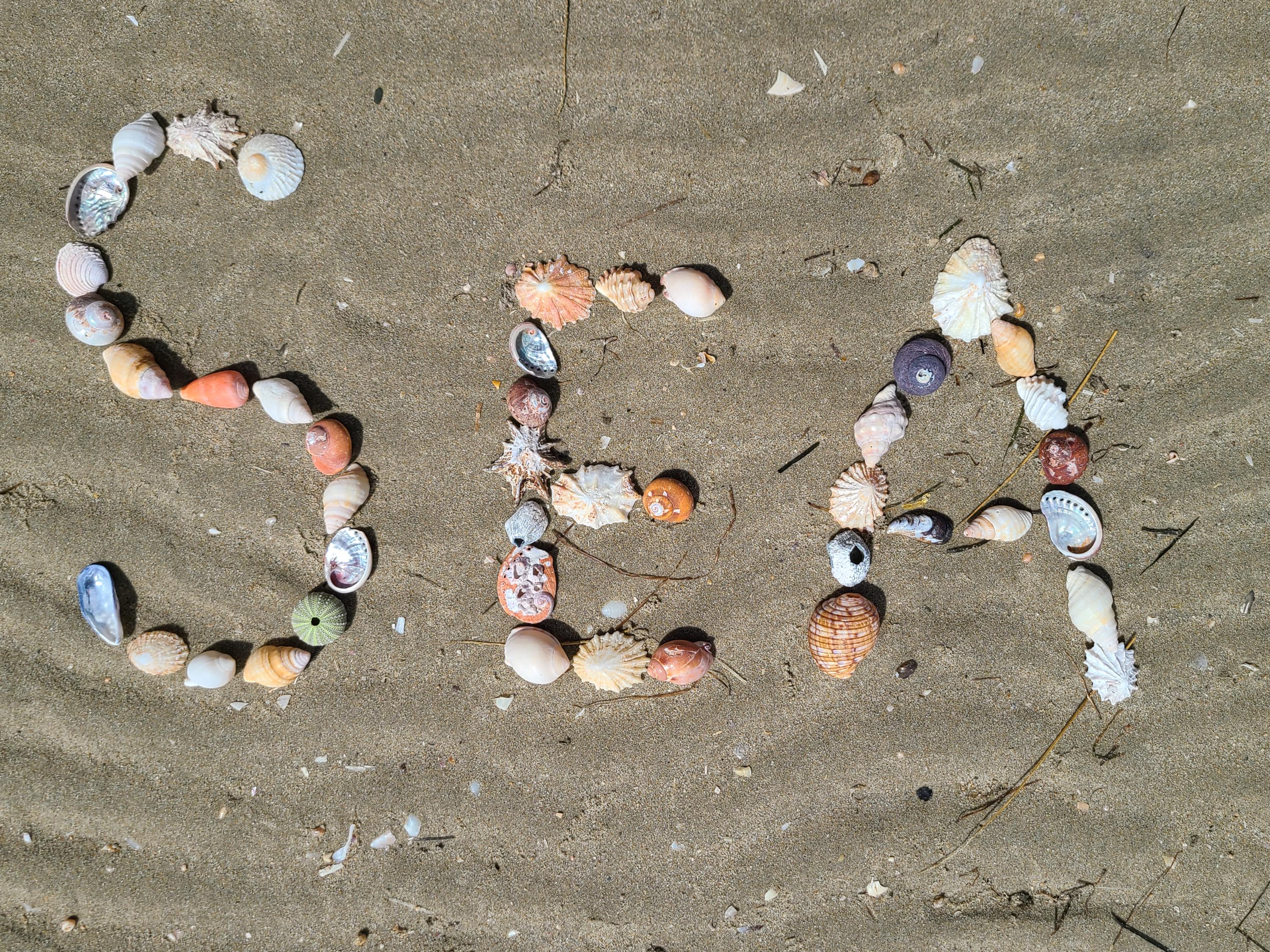 Seashell Signs, Digital Download, Ready to Purchase and Print on Paper ...