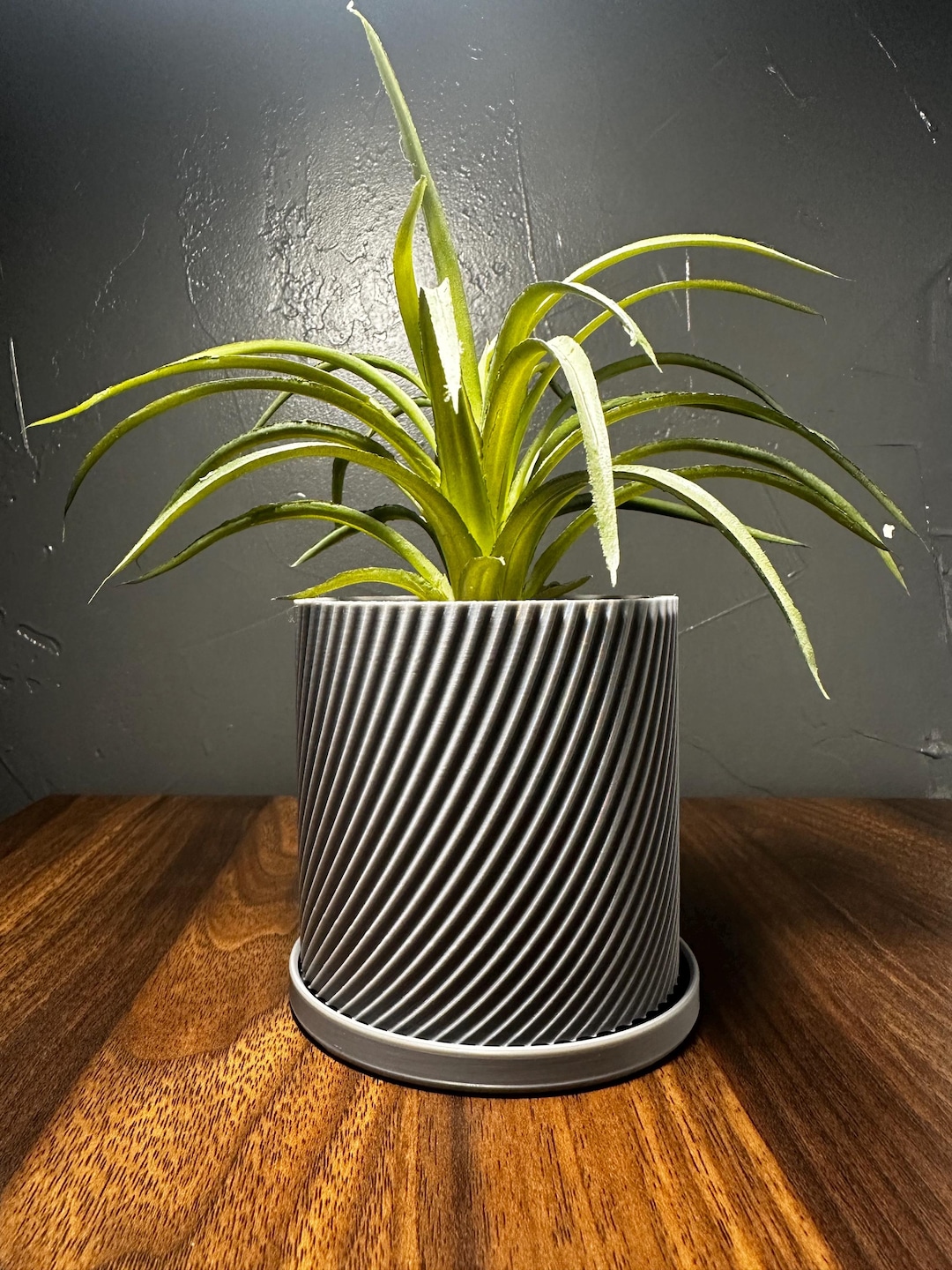 3D Printed Spiral Plant Pot: Modern Desk Decor (3.5") - Etsy