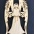 7" Righteous Branch Wooden Cross - Etsy
