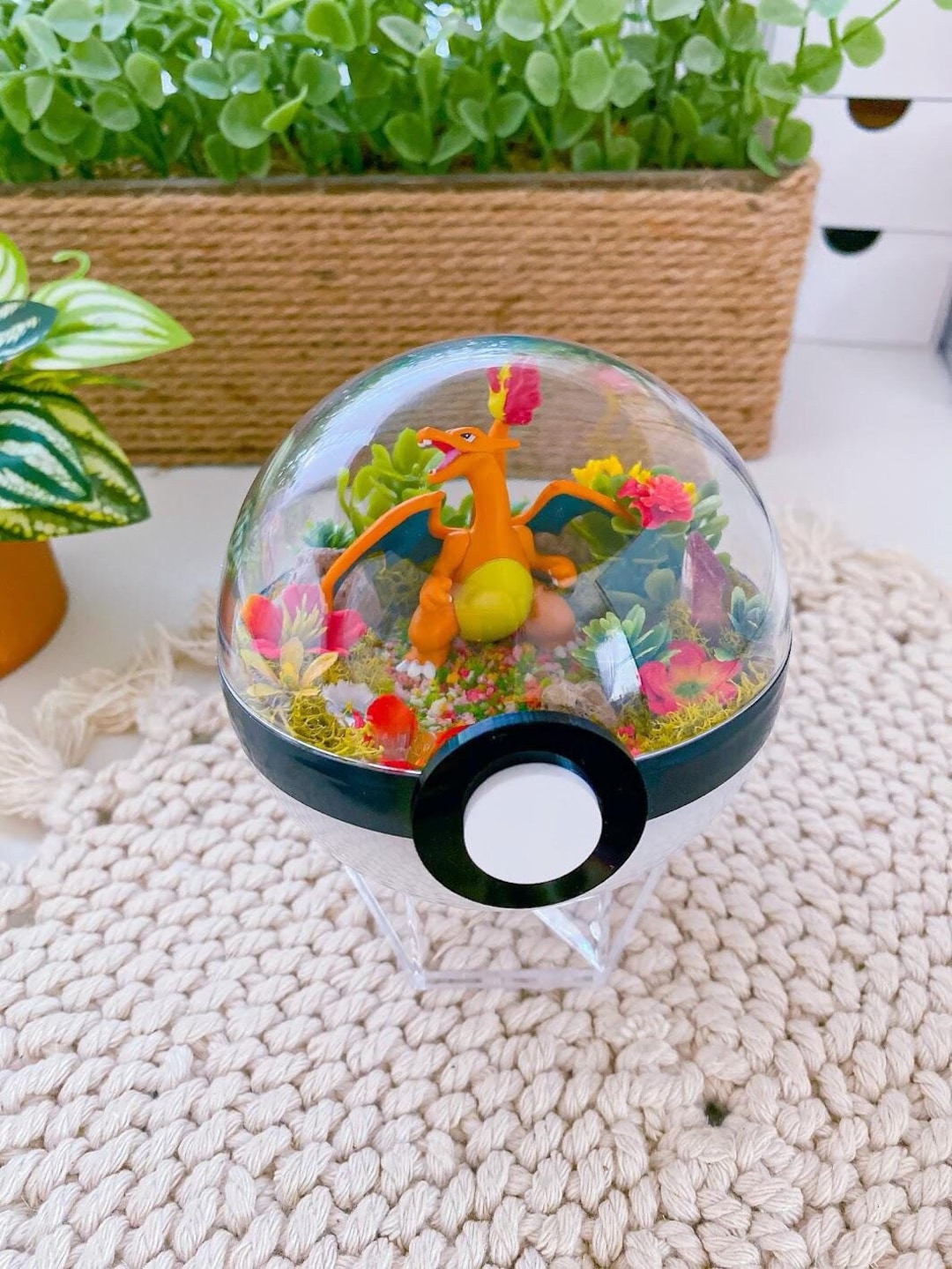 Poke Ball Terrarium Charizard - Etsy