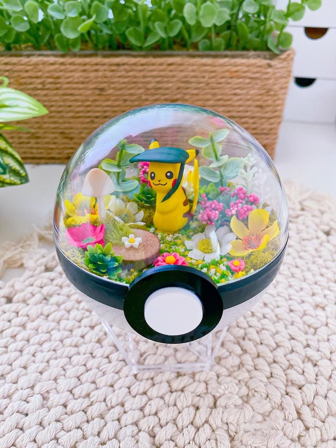 Poke Ball Terrarium Pikachu - Etsy