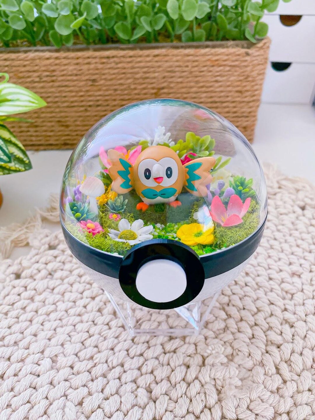Poke Ball Terrarium Rowlet - Etsy