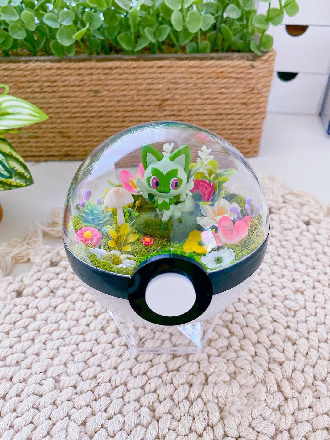 Poke Ball Terrarium Sprigatito - Etsy