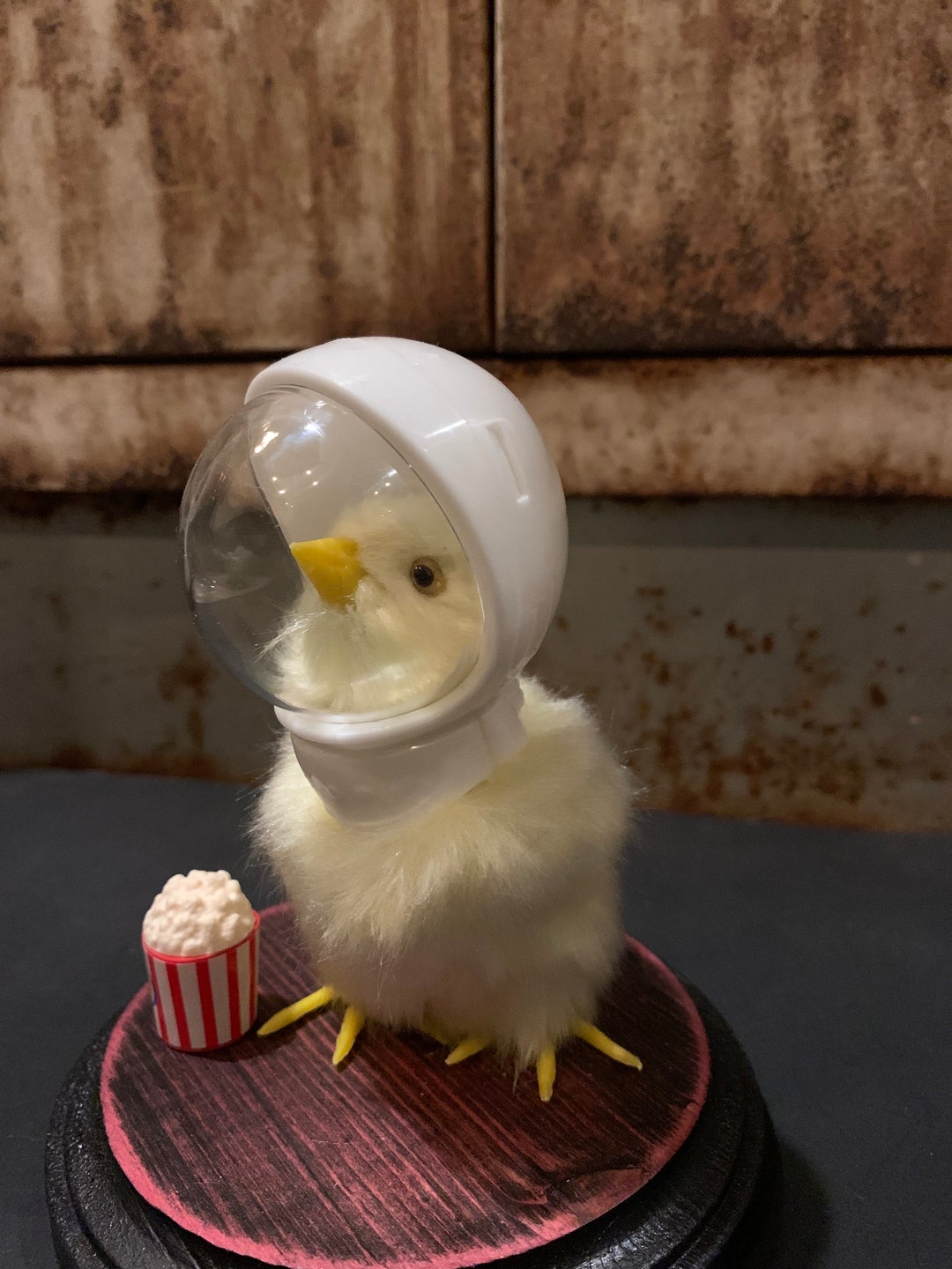 Astronaut Chick Faux Taxidermy - Etsy