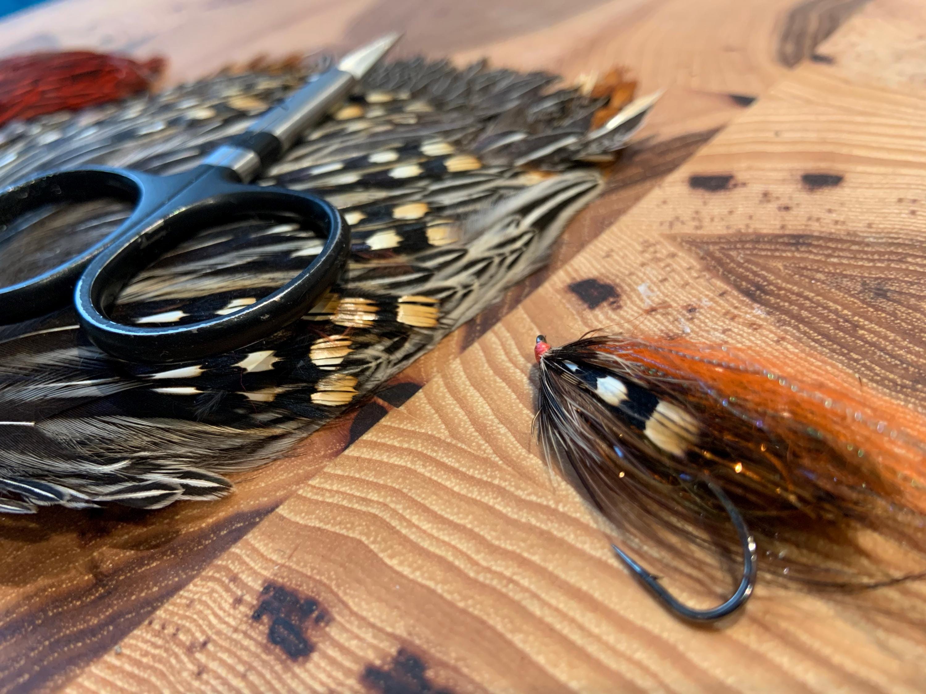 Spey Flies, Dry Flies, Streamers for Fly Fishing. This is a ‘random ...