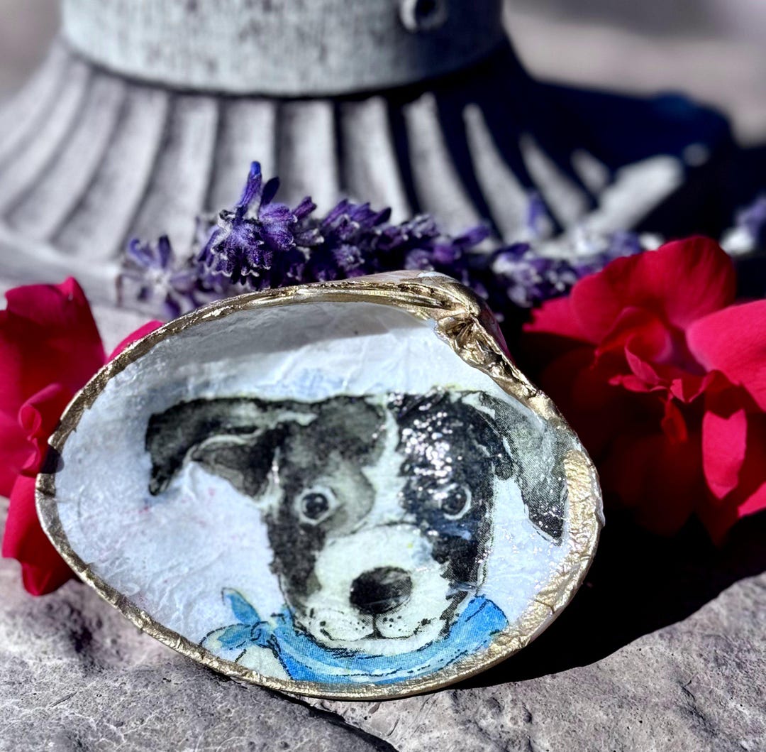 Handcrafted Decoupaged Dog Clam Shell Dish, Cute Dog Shell, Ring Dish ...