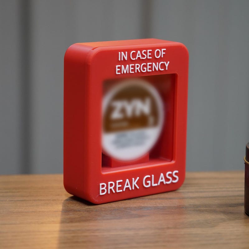 In Case of Emergency Break Glass - Etsy