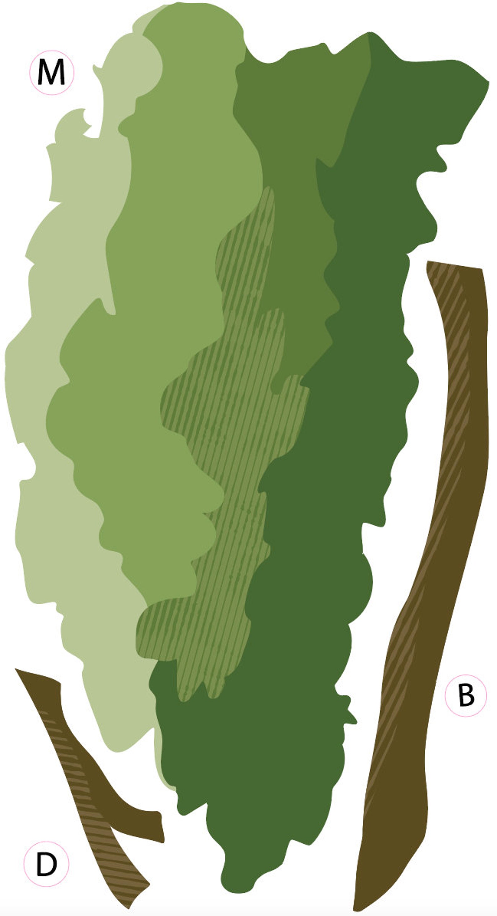 Large Acacia Tree Wall Decals Nursery Wall Decals Tree Wall - Etsy