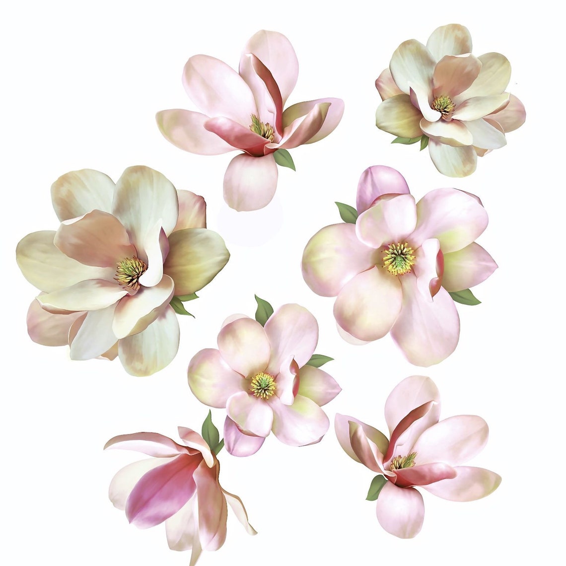Medium Magnolia Flower Wall Decals Set of Eco Friendly Peel | Etsy