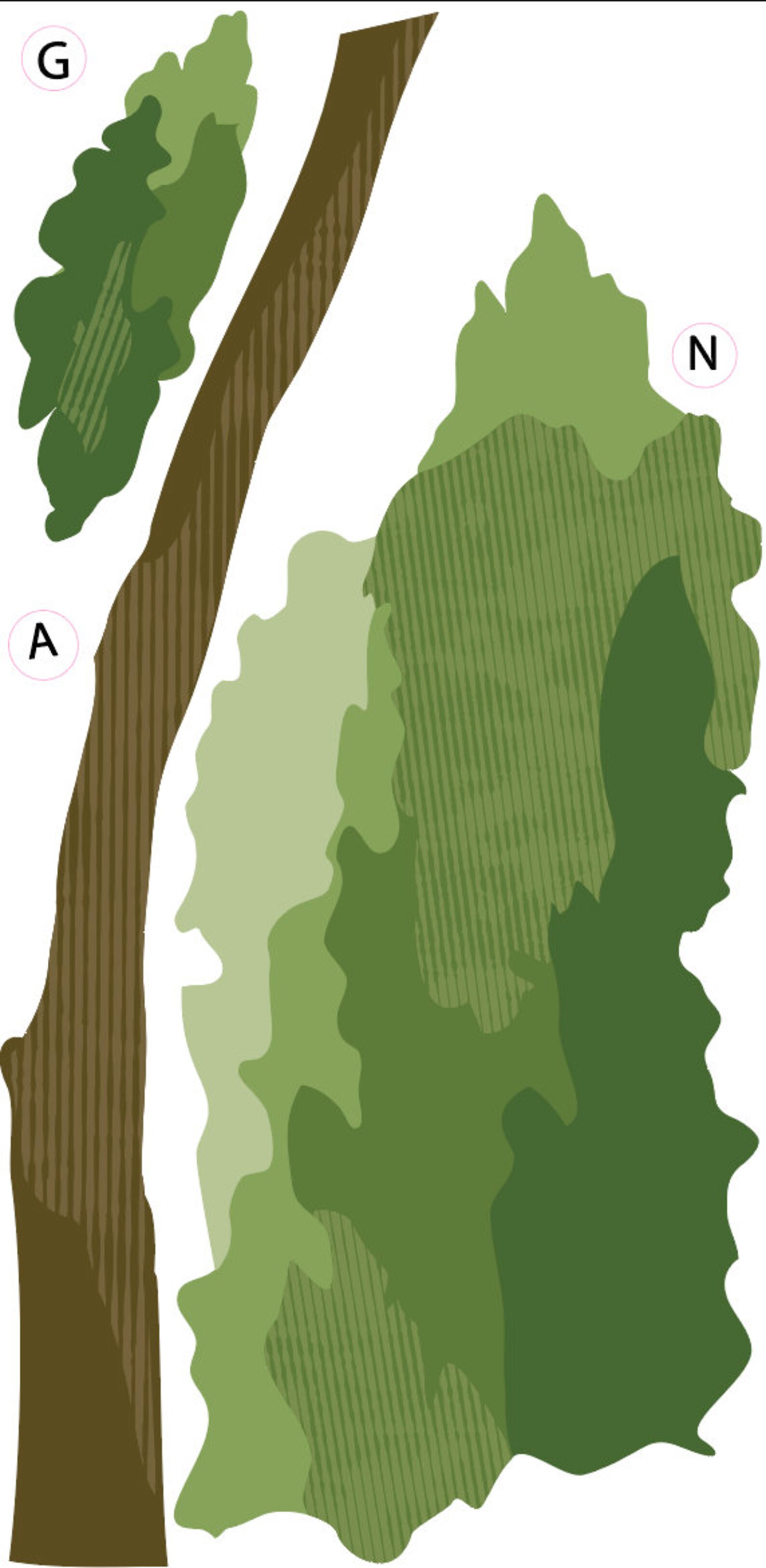 Large Acacia Tree Wall Decals Nursery Wall Decals Tree Wall - Etsy