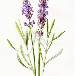 Whimsical Vintage Jacobean Crewel Ornaments ~choose Between Unscented ...