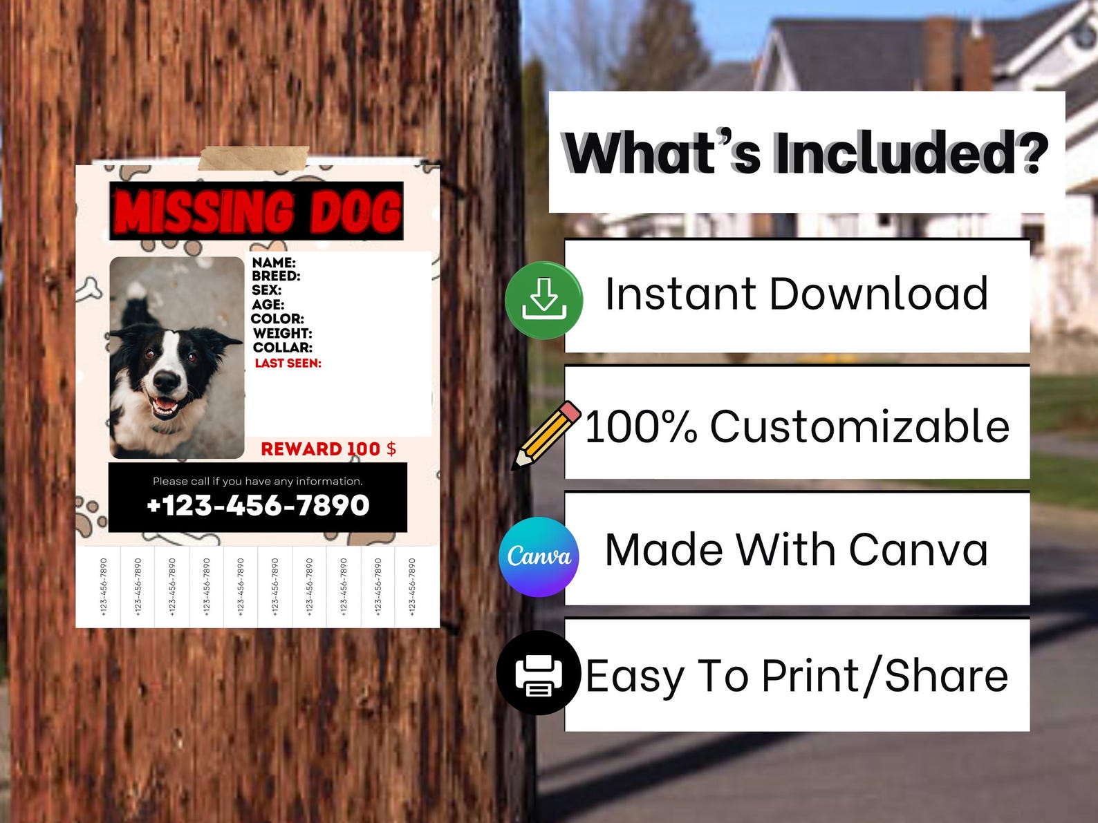 PRINTABLE Missing Dog Template | Flyer | Missing Cat Template | Poster ...