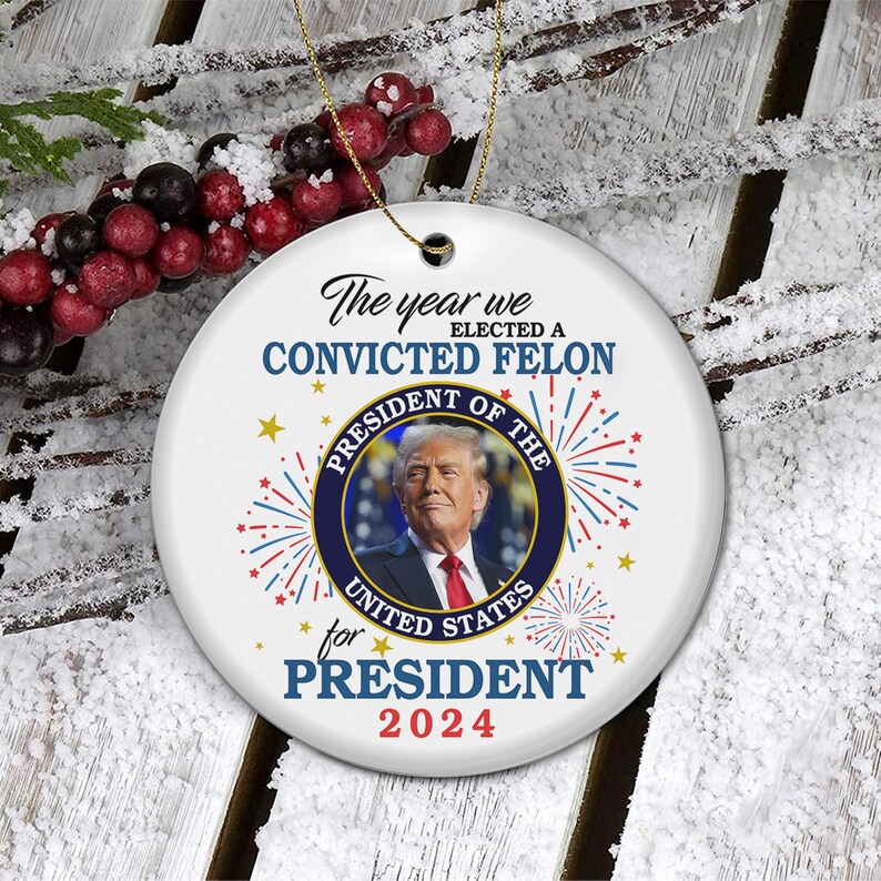 The Year We Elected A Convicted Felon for President, Anti Trump ...