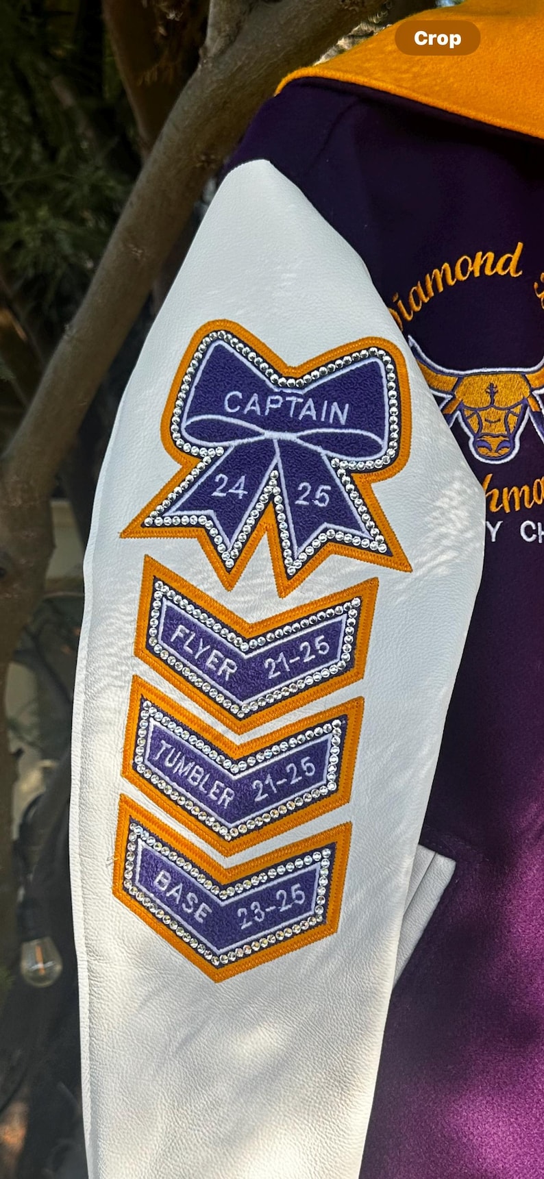 Crystal Preciosa Rhinestones Stones for Letterman Jackets Ss12 Ss16 ...