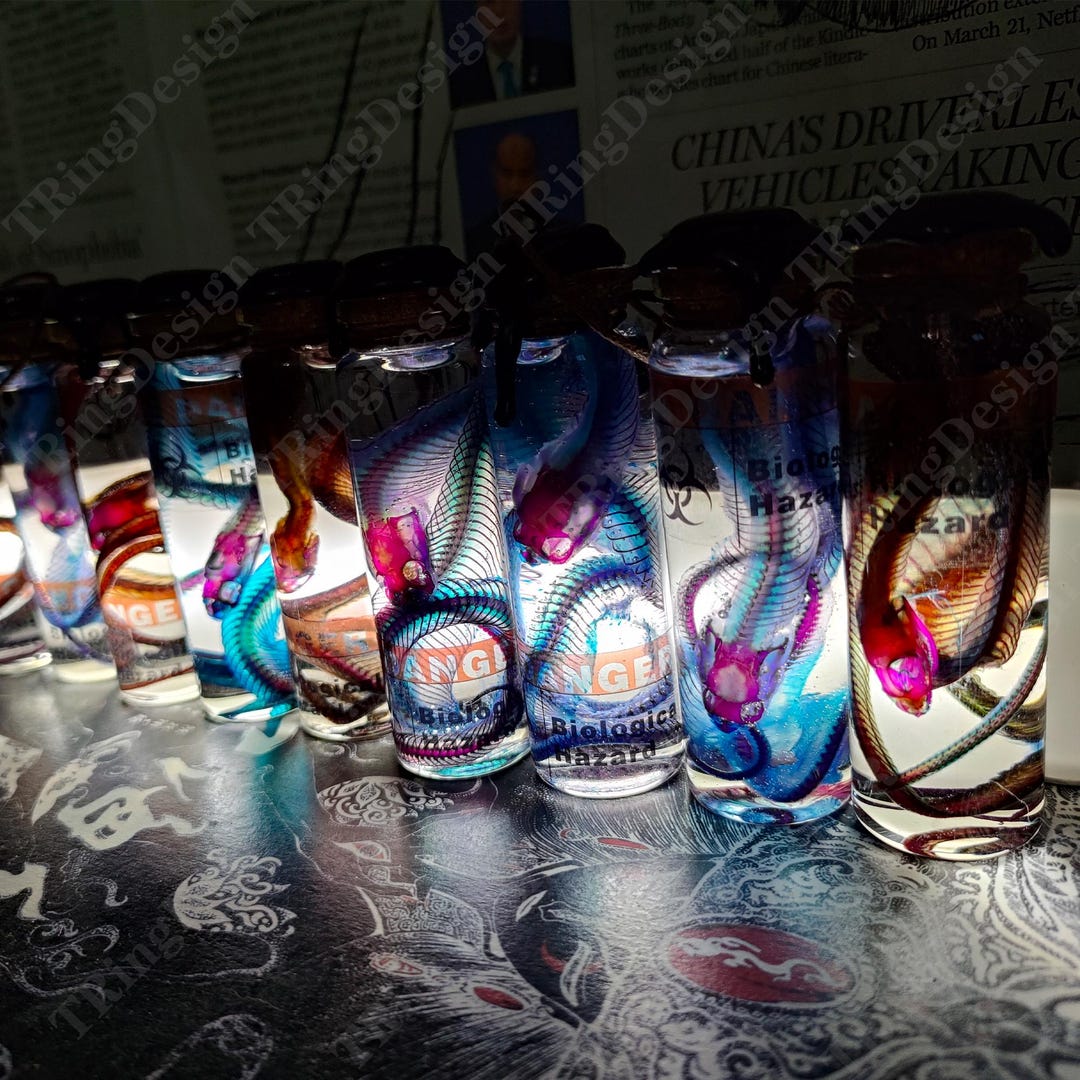 Dyed Snake Skeleton Specimen,wax-sealed, Long-lasting Preservation ...