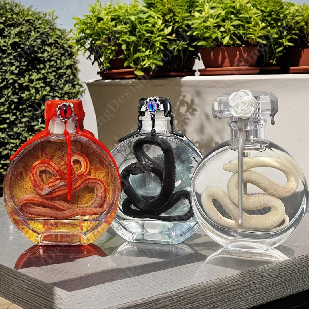 Real Snake Specimen,real Animal Specimen,clean and Complete,specimen ...