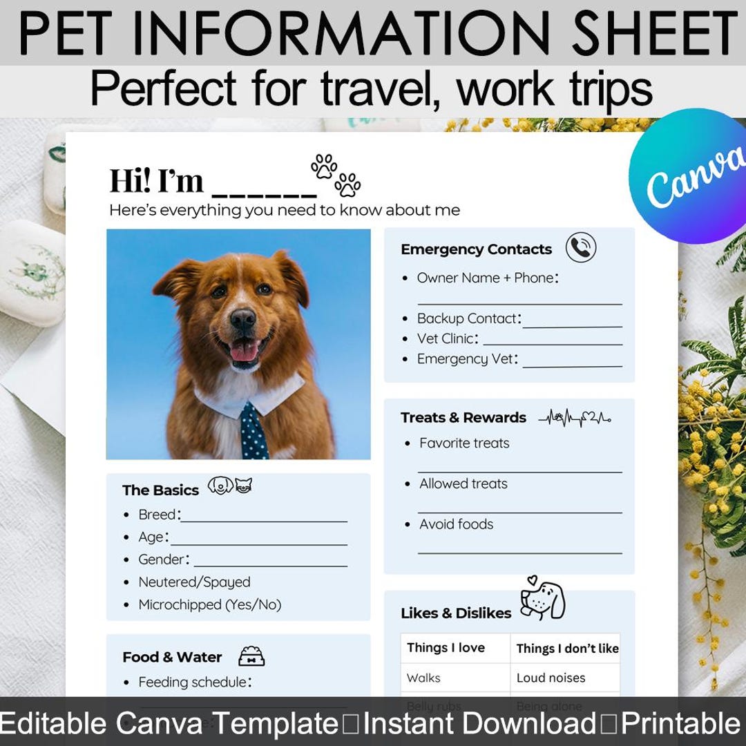 Pet Information Sheet Template, Dog Sitter Instructions, Pet Care ...