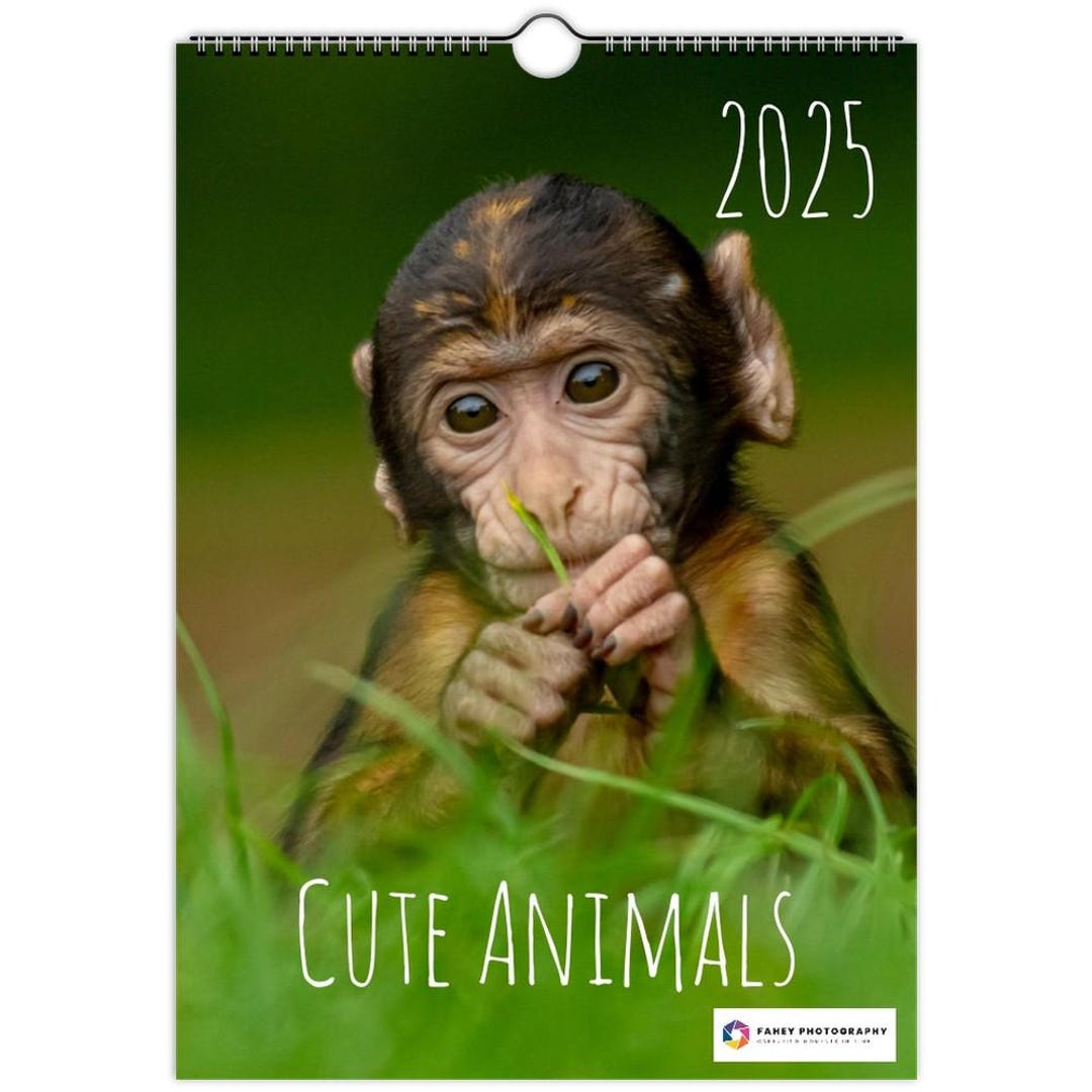 2025 Cute Animals Calendar - Etsy