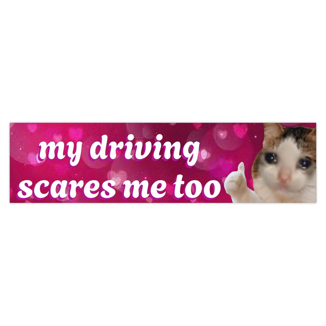 Funny Student Driver Bumper Sticker Crying Cat Meme, Funny Car Decal - Etsy