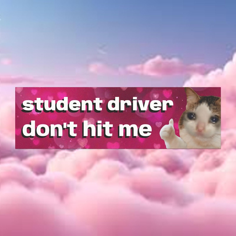 Gen Z Sticker - Etsy