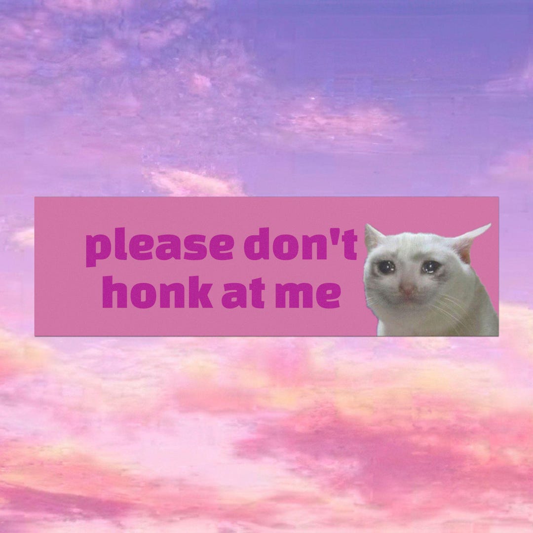 Please Don't Honk at Me, Sad Cat Meme Car Magnets, Funny Magnetic ...