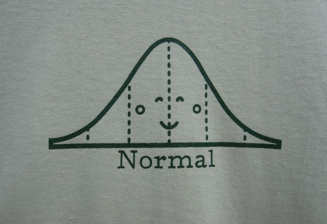 Normal T-shirt - Etsy