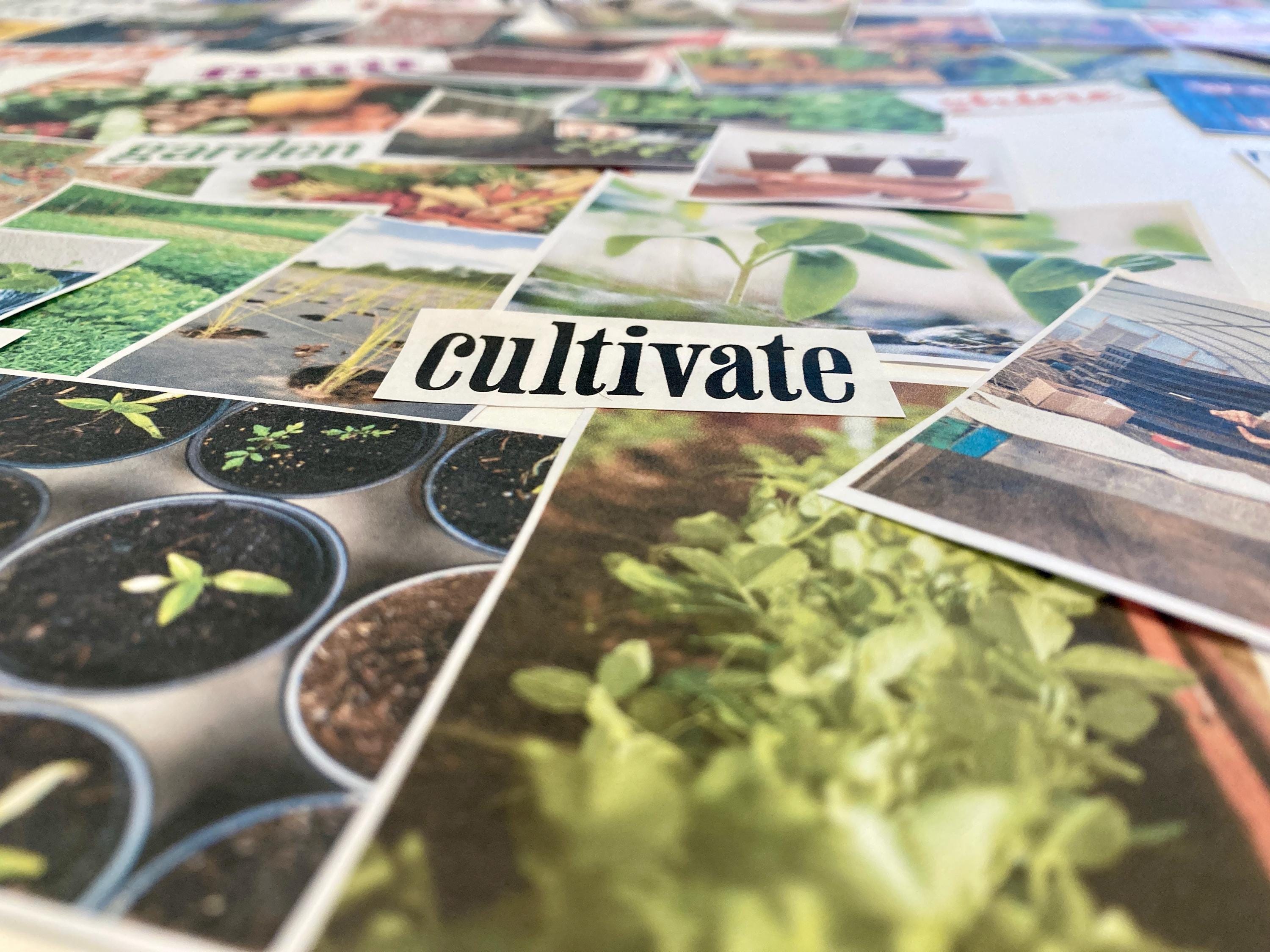 Printable Vision Dream Board for Flower Farmers, Gardeners ...