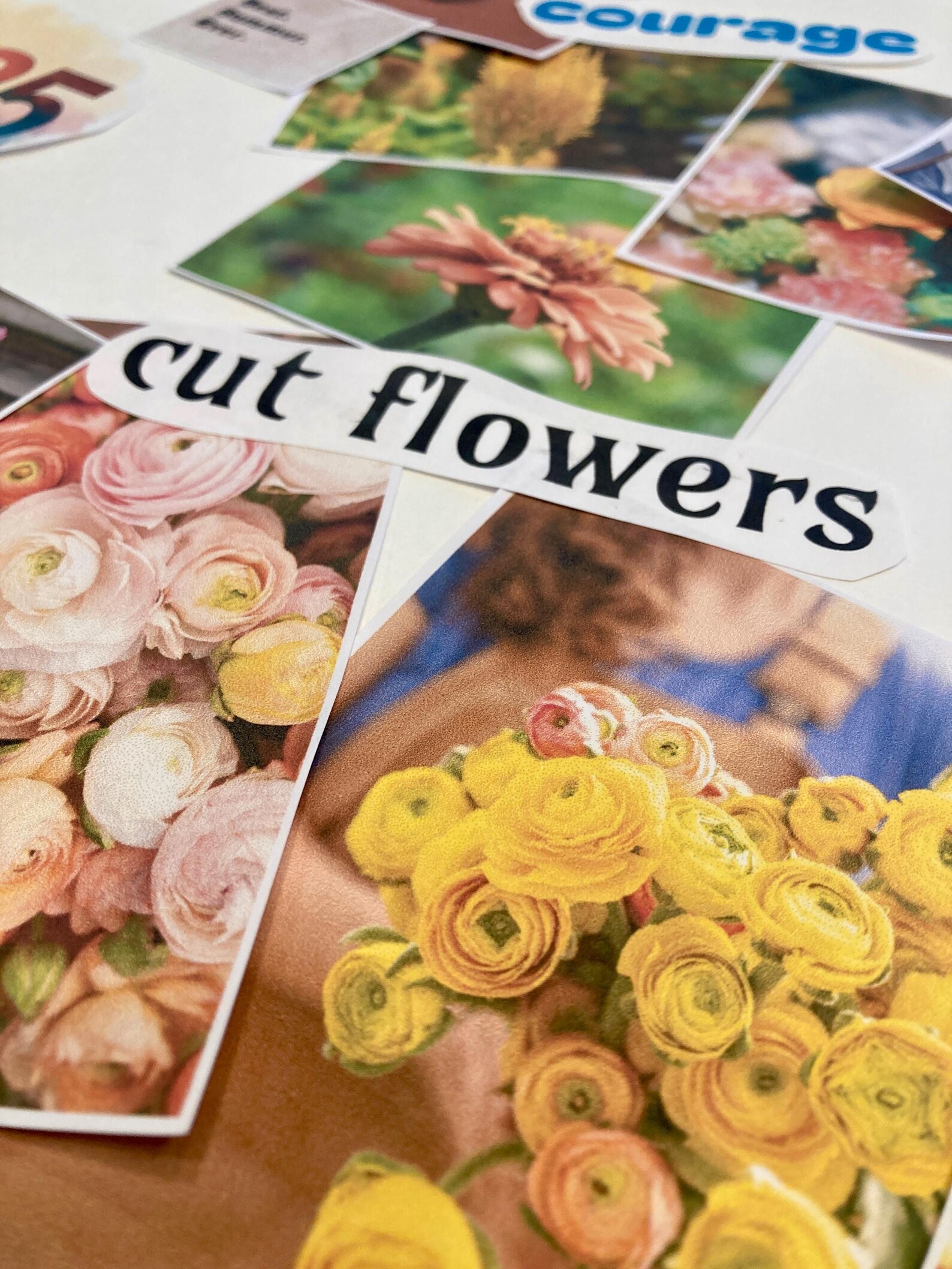 Printable Vision Dream Board for Flower Farmers, Gardeners ...