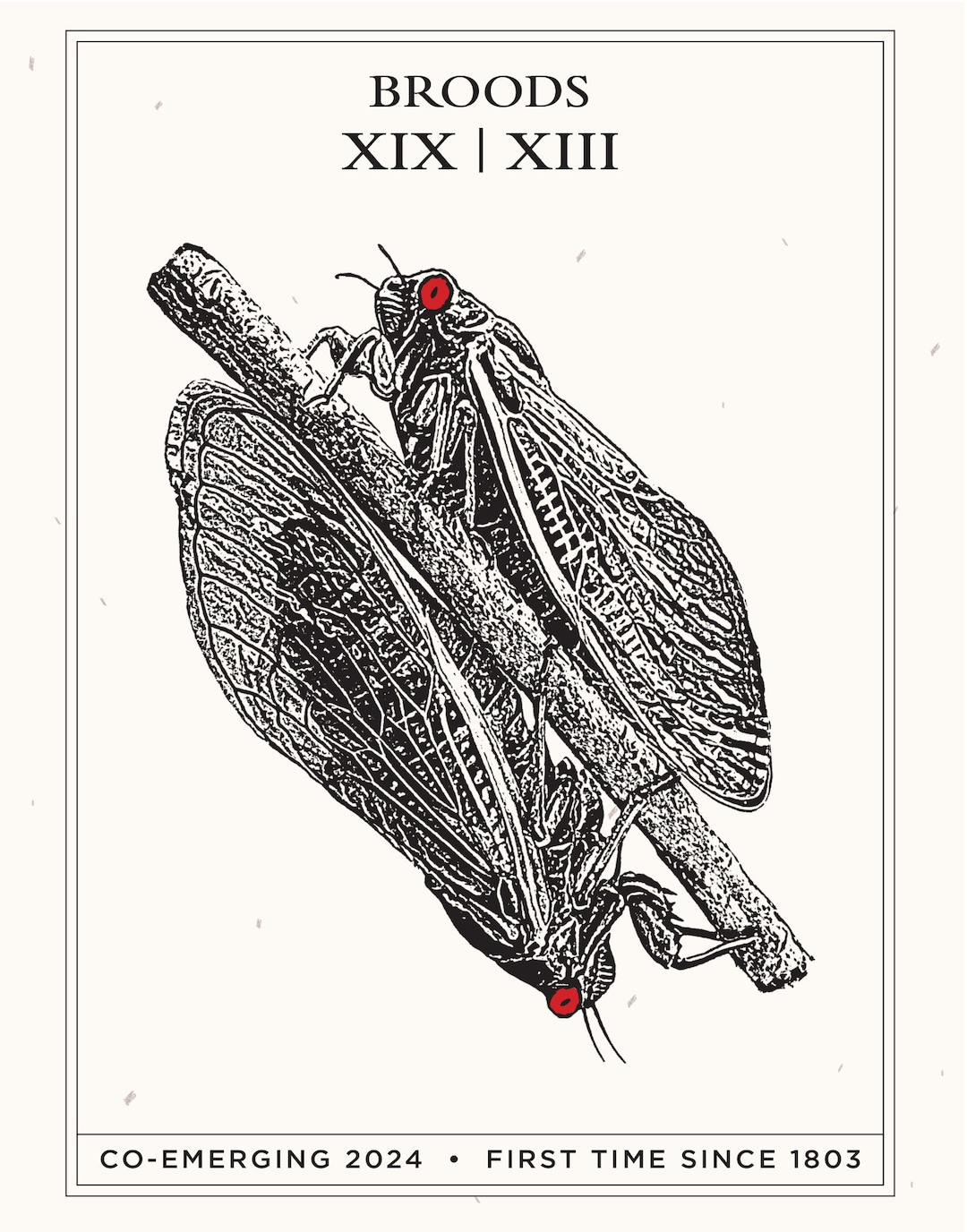 Cicada Print, Dual Emergence 2024, 11x14 Limited Edition Print - Etsy