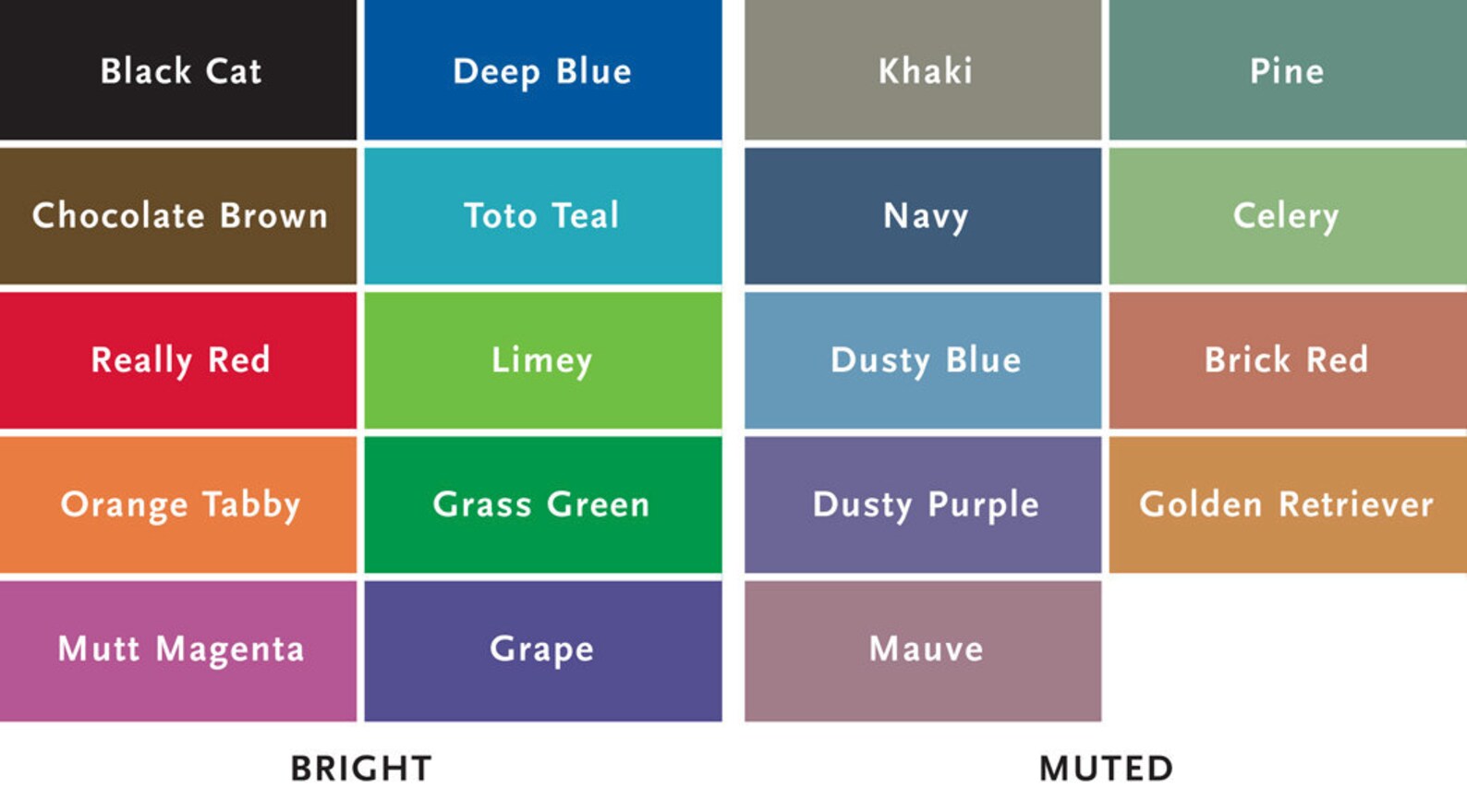 Squirrel 8x10 Art Print Squirrel Gift Woodland Animal - Etsy