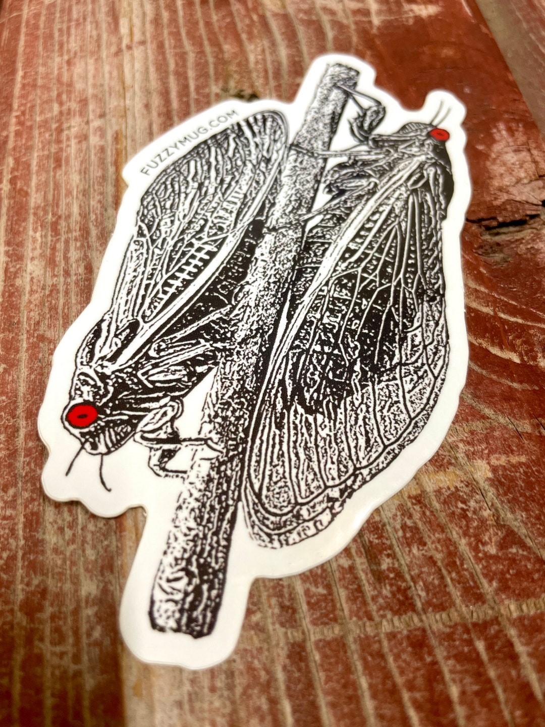 Cicada Sticker 2024, Vinyl Car Sticker - Etsy