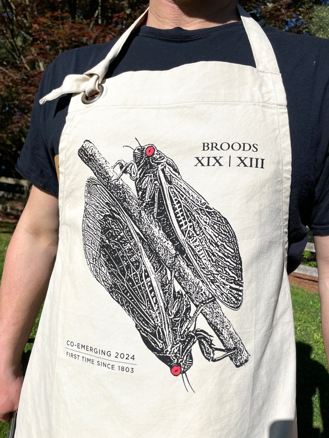 Cicada Apron, Cicada, Cicada Gift, Cicada Dad, 17 Year Cicadas, Insect ...