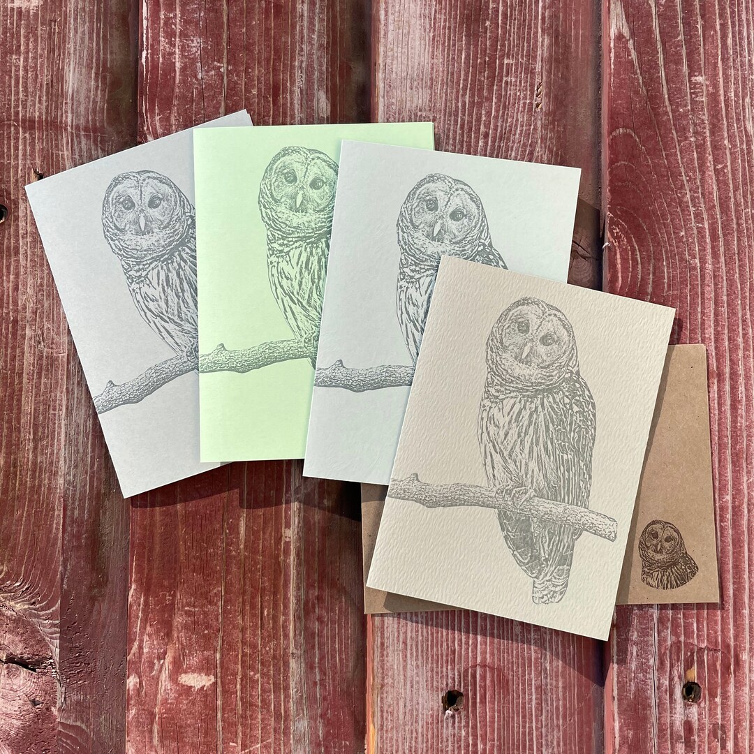 Owl Note Cards Owl Cards Barred Owl Notes Set of 4 - Etsy