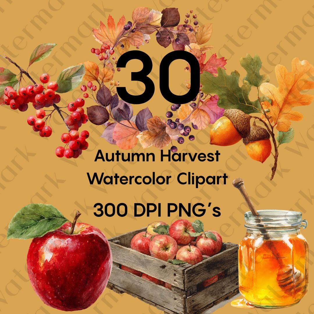 Autumn Harvest Clipart Bundle: Pumpkins, Leaves, Fall Decor (30 PNG ...