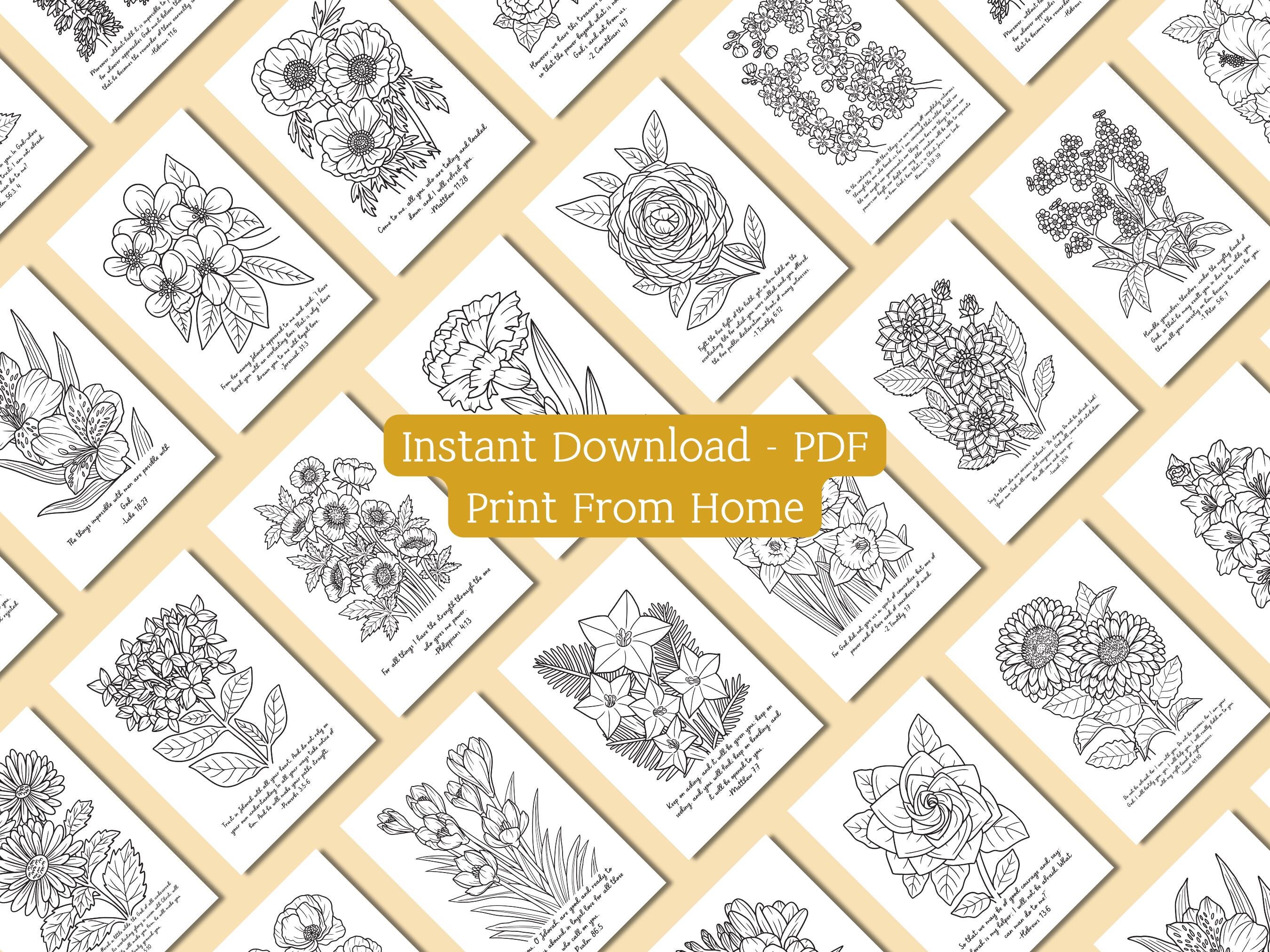 JW Coloring Pages, Encouraging Scriptures, Family Worship Idea ...