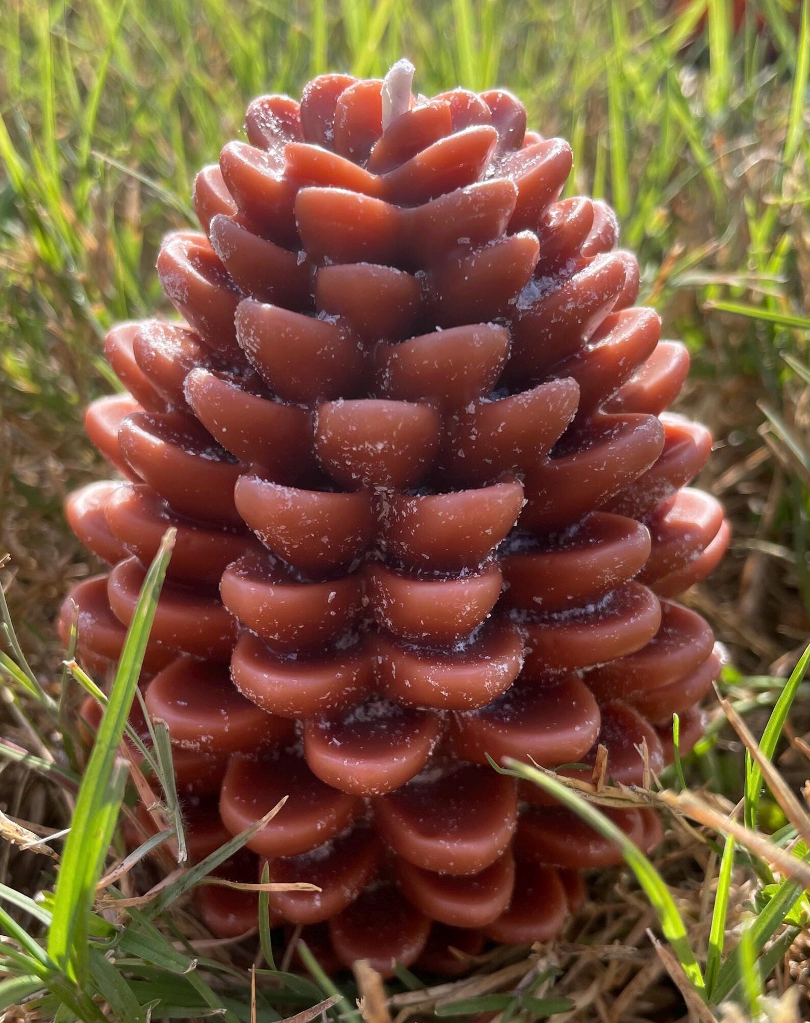 Pine Cone Candles New Year Gift-birthday Gift-christmas Candles ...