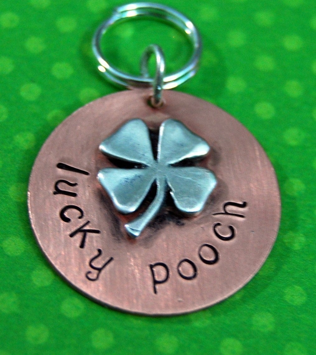 Custom Pet Id Tag / LUCKY POOCH - Pets Info on the Back Personalized ...