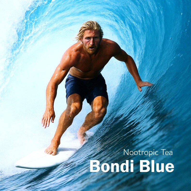 Bondi Blue - Nootropic Tea - Butterfly Flower 50 - 600 Gram - Etsy