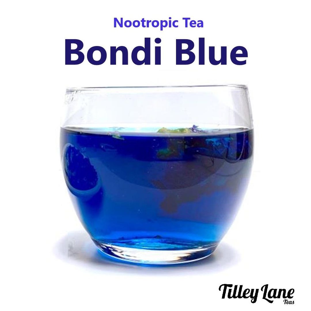 Bondi Blue - Nootropic Tea - Butterfly Flower 50 - 600 Gram - Etsy