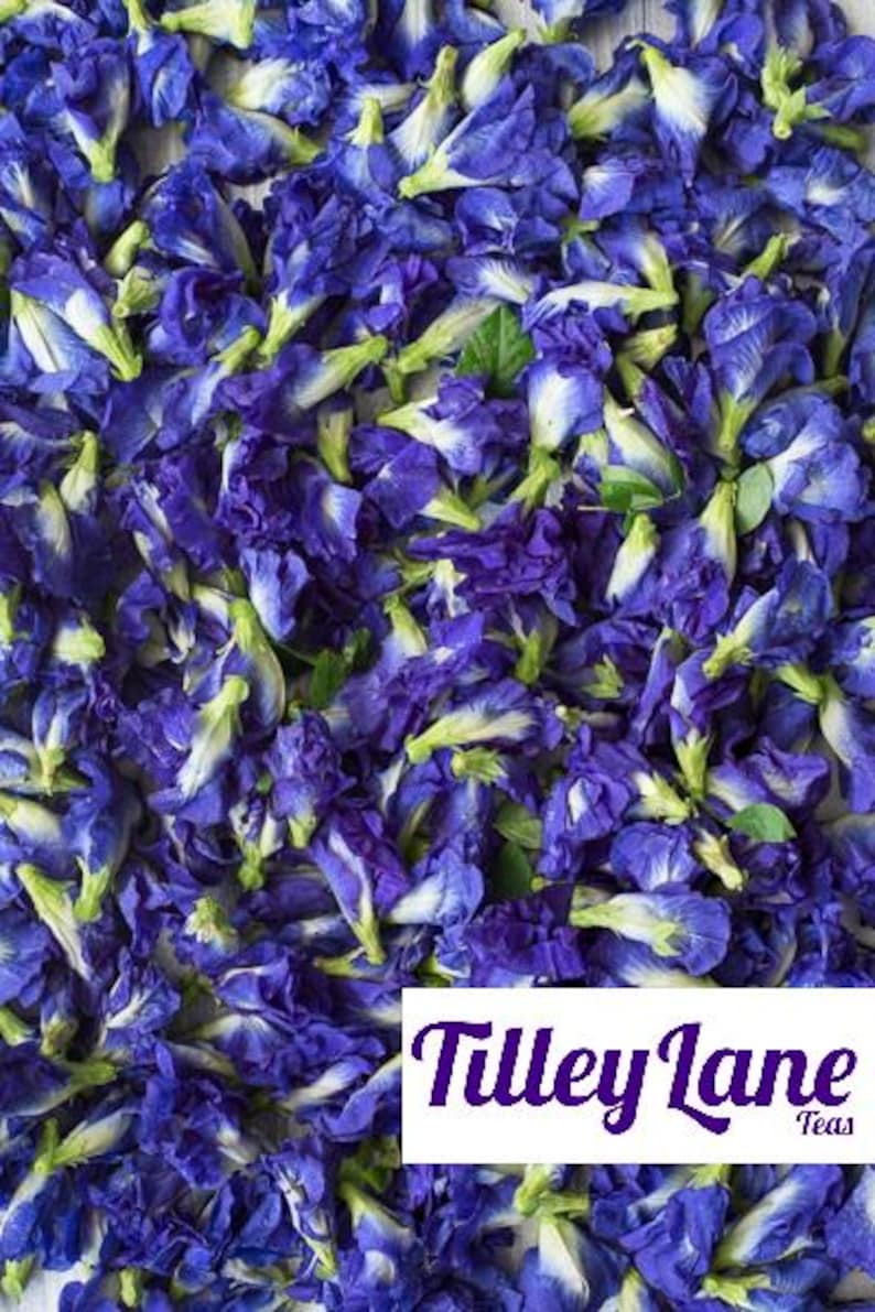 Bondi Blue - Butterfly Pea Flower - 100g - Etsy