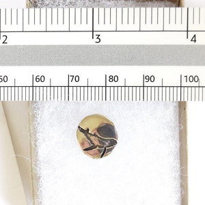 Sterling Whale Tie Tack, Humpback Whale Lapel Pin, Under 15, SCUBA ...