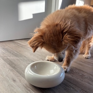 Modern Ceramic Donut Shape Pet Bowl – Elevated Design for Cats & Small ...