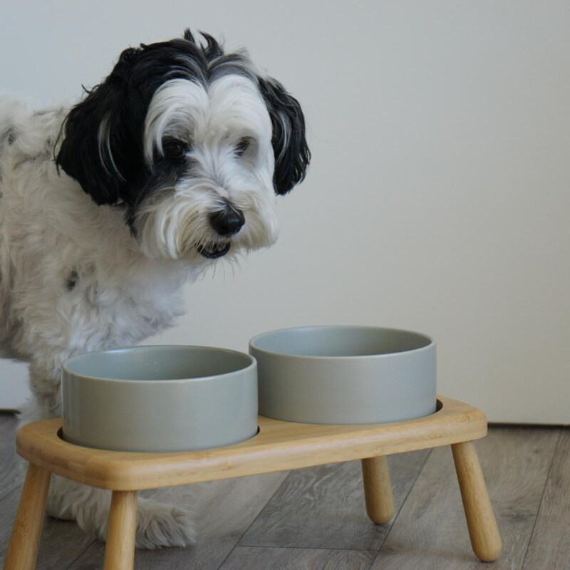 Standing Dog Bowl - Etsy