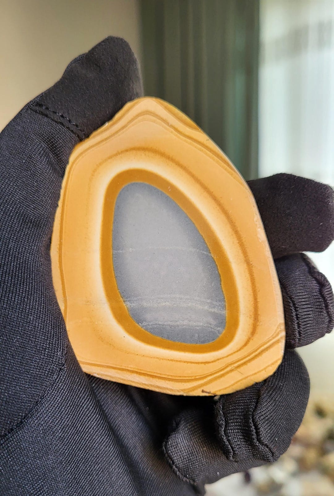 Banded Wooden Rhyolite Sample Pair, Cut and Polished Wonderstone, Rare ...