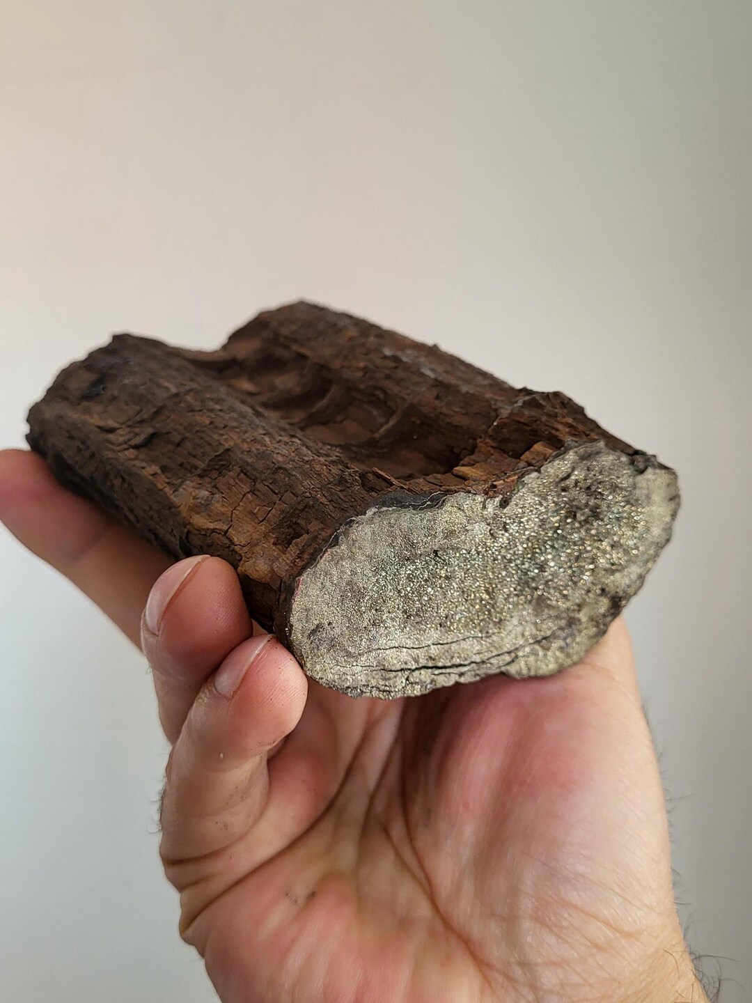 Rare Petrified Wood With Pyrite Raw Spicemen, Home Decoration ...