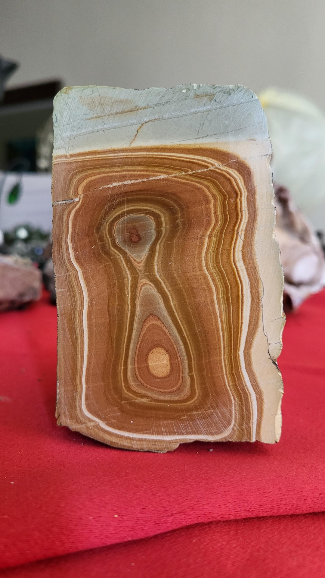 Huge Wooden Rhyolite Sample Pair, Cut and Polished Wonderstone, Rare ...