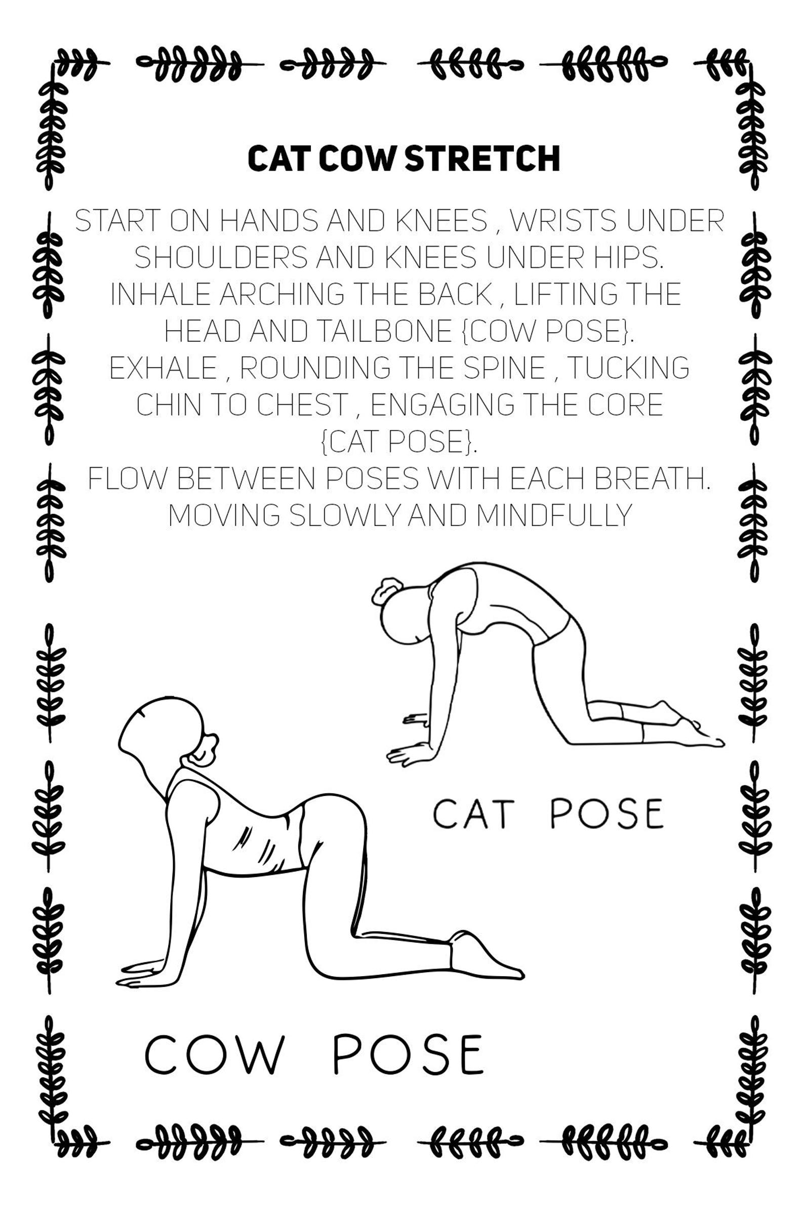Somatic Exercise Book: Yoga Poses, Affirmations, and Card Style for ...