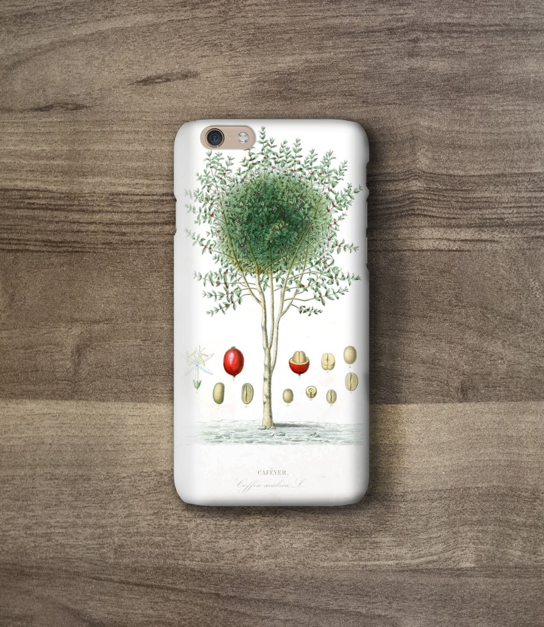 Coffee Tree iPhone 13 Case, Coffee Botanical iPhone 17 Pro Max Case ...